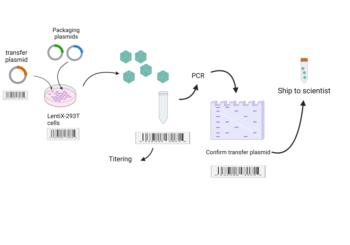 Viral Production at Addgene